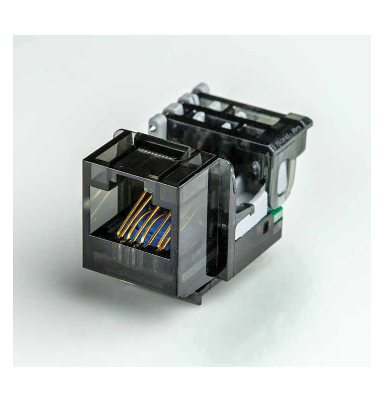 BrandRex Conector Hembra UTP C/6 Key Tool-Free NG. BREXCONUTPC6KT